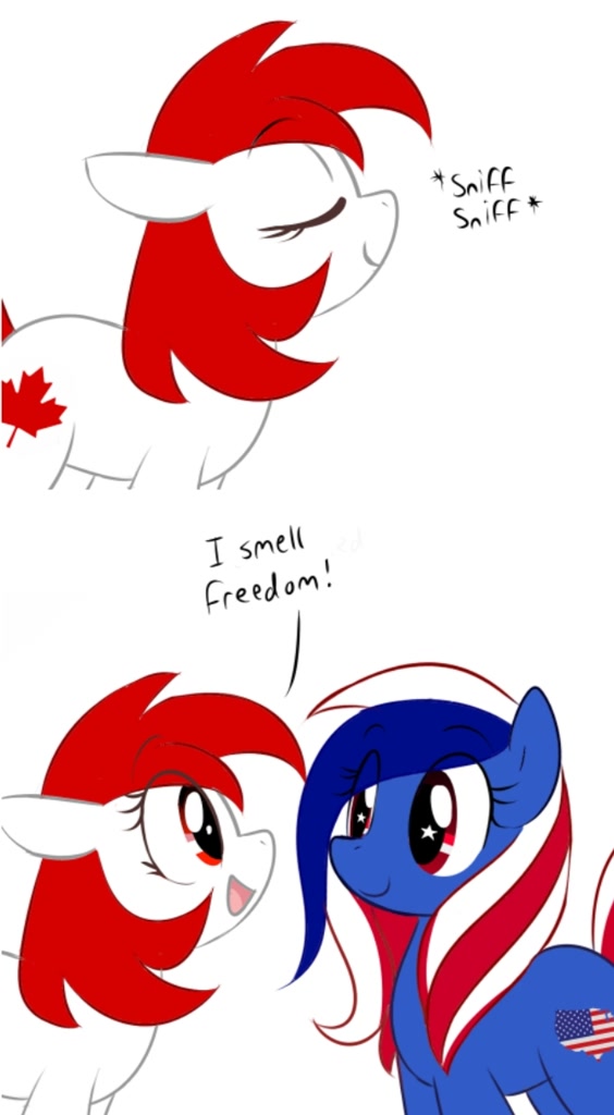 #3127780 - safe, artist:askcanadapony, oc, oc only, oc:canada, oc:usa ...