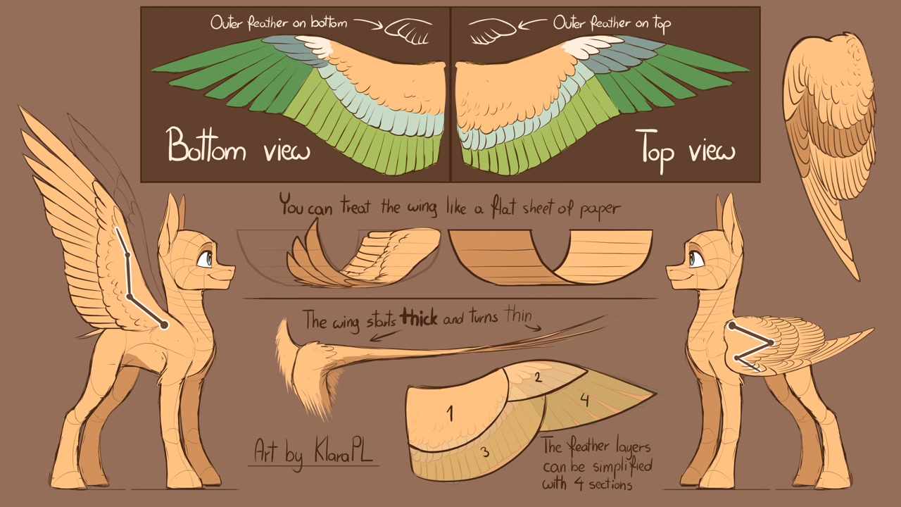 #3147955 - safe, artist:klarapl, pegasus, pony, anatomy, anatomy guide, concave belly, feathered ...