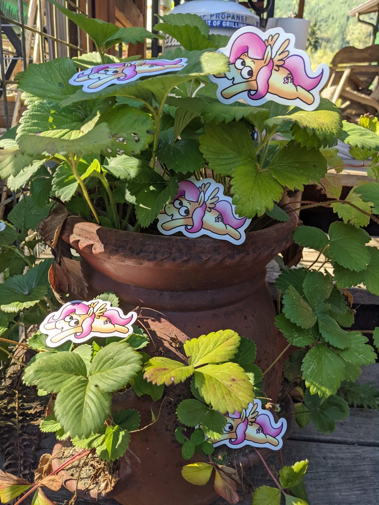 #3184541 - safe, artist:punkittdev, fluttershy, pegasus, pony, g4, cute ...