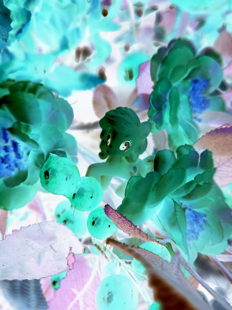 #3471338 - safe, photographer:hollyn, earth pony, pony, mlp fim's ...