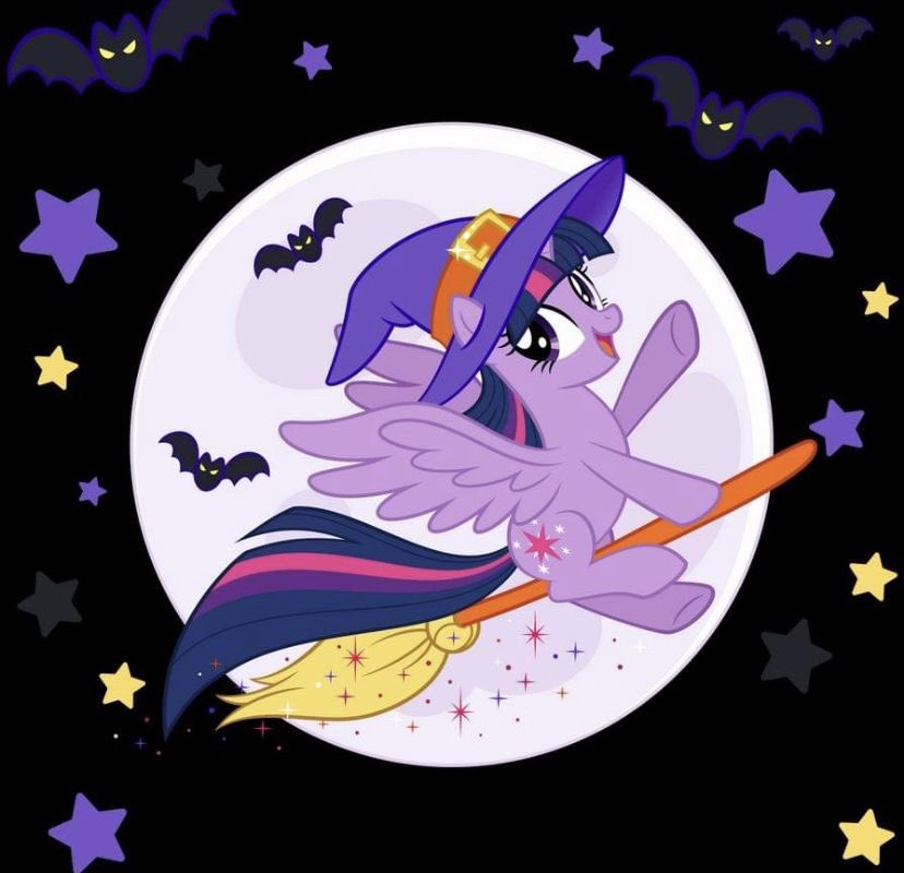 #3456080 - safe, twilight sparkle, alicorn, bat, pony, beautiful, broom ...
