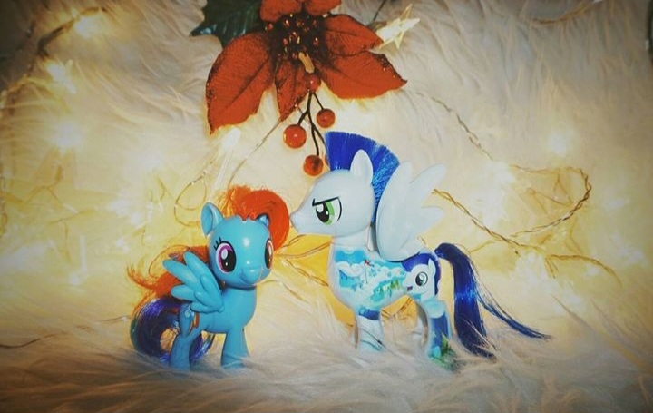 #3492988 - safe, rainbow dash, soarin', pegasus, pony, christmas, duo ...