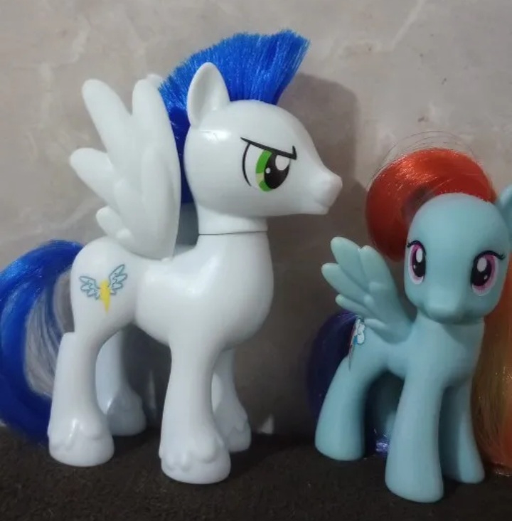 #3493454 - safe, rainbow dash, soarin', pegasus, pony, g4, doll, duo ...