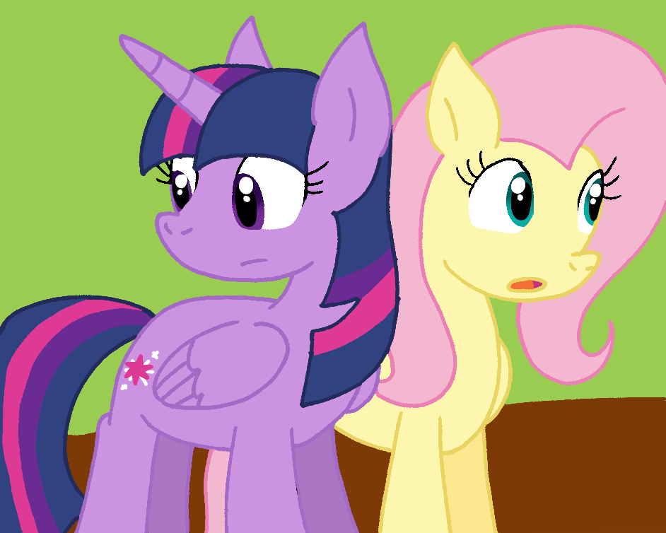 #3306127 - safe, artist:cmara, fluttershy, twilight sparkle, alicorn, pony, g4, duo, duo female ...