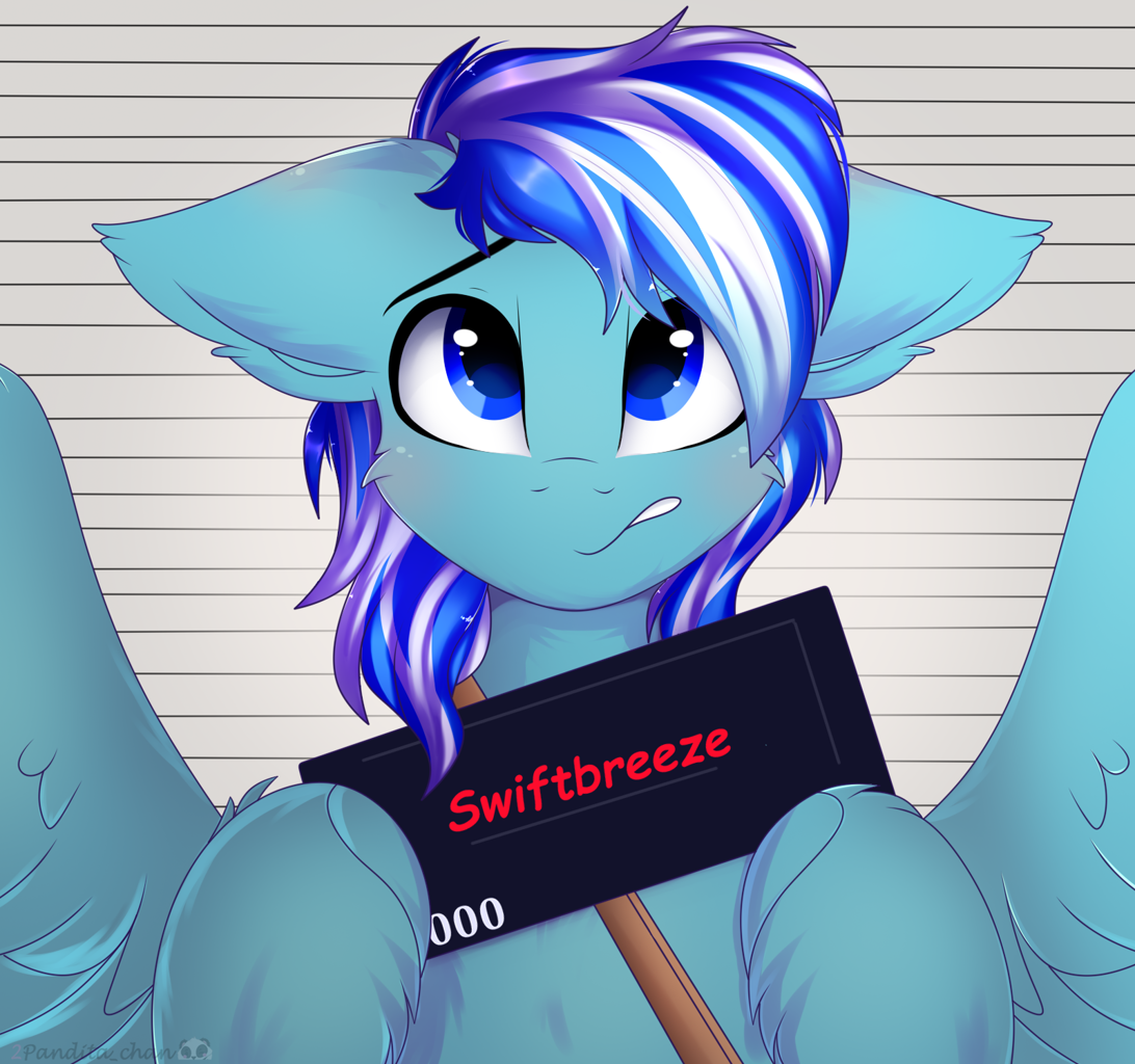 #3307277 - safe, artist:2pandita, oc, oc:swift breeze, pegasus, pony, male, mugshot, solo ...