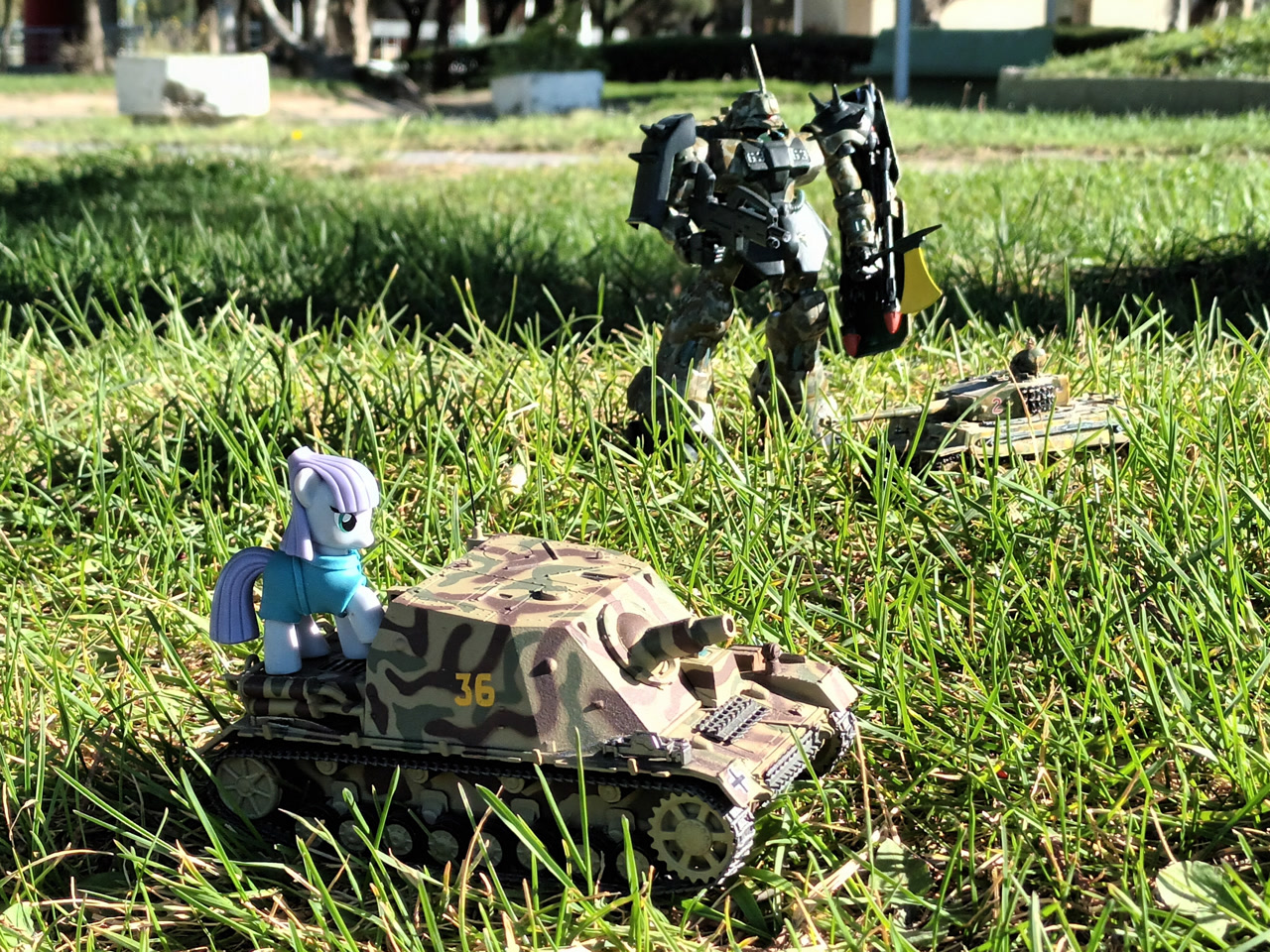 #3323622 - safe, artist:dingopatagonico, maud pie, earth pony, g4, ams ...