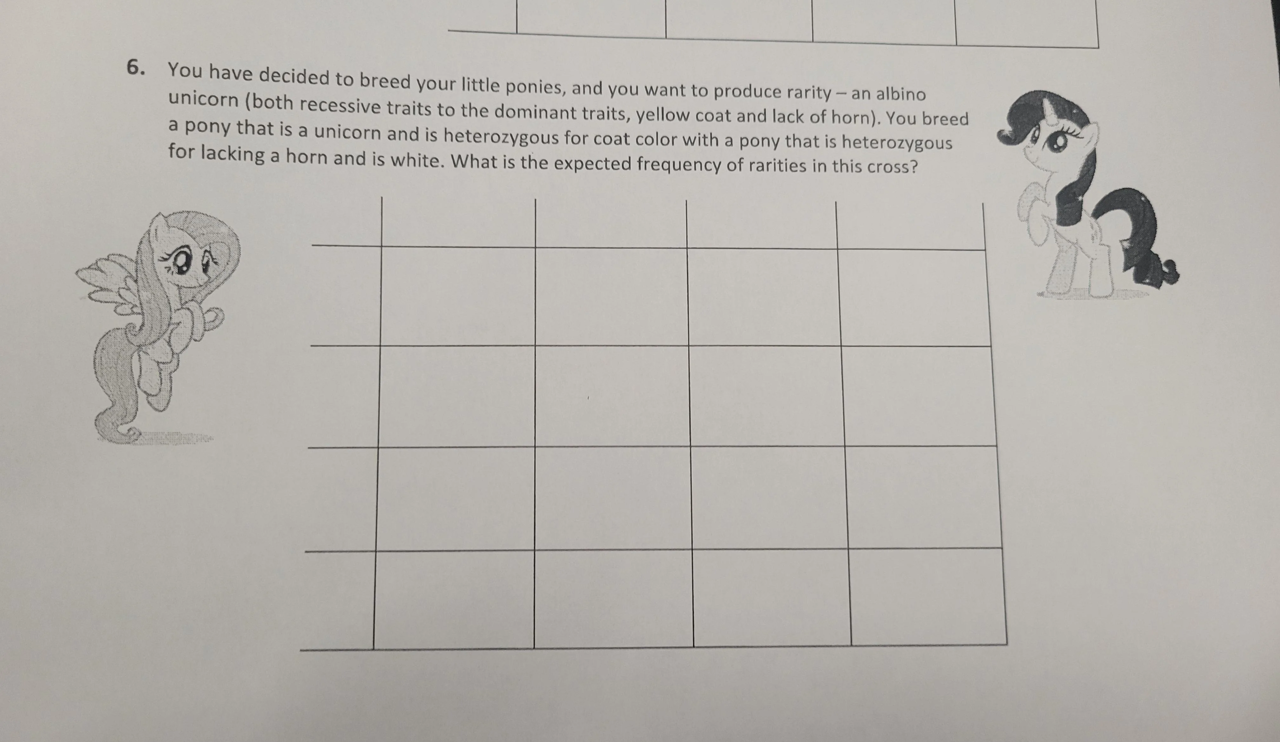 #3328911 - safe, fluttershy, rarity, pegasus, unicorn, g4, breeding ...