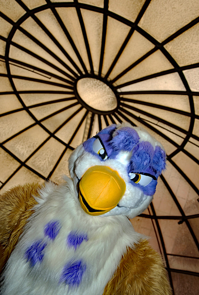 #3317535 - safe, gilda, griffon, bust, fursuit, irl, photo, portrait ...