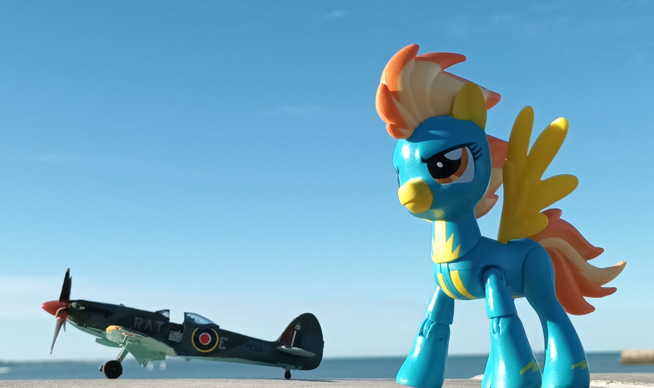 #3362470 - safe, artist:dingopatagonico, spitfire, pegasus, pony, g4 ...