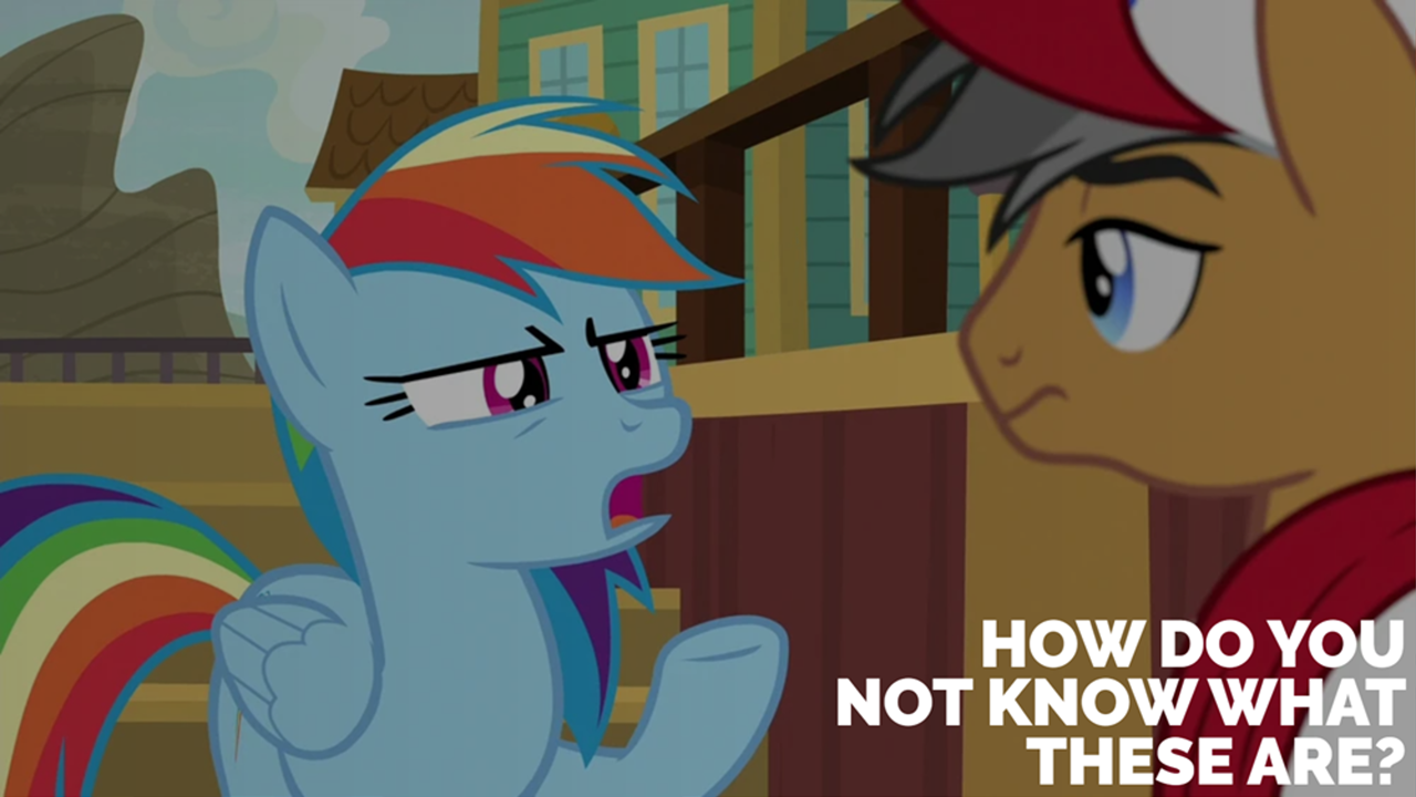 #3360950 - safe, edit, edited screencap, editor:quoterific, screencap, quibble pants, rainbow ...