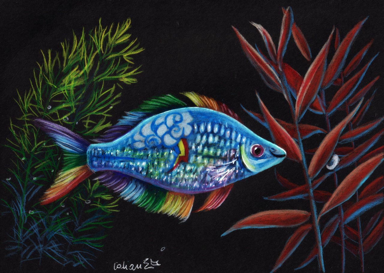 #3385257 - safe, artist:cahandariella, rainbow dash, fish, g4, atg 2024 ...