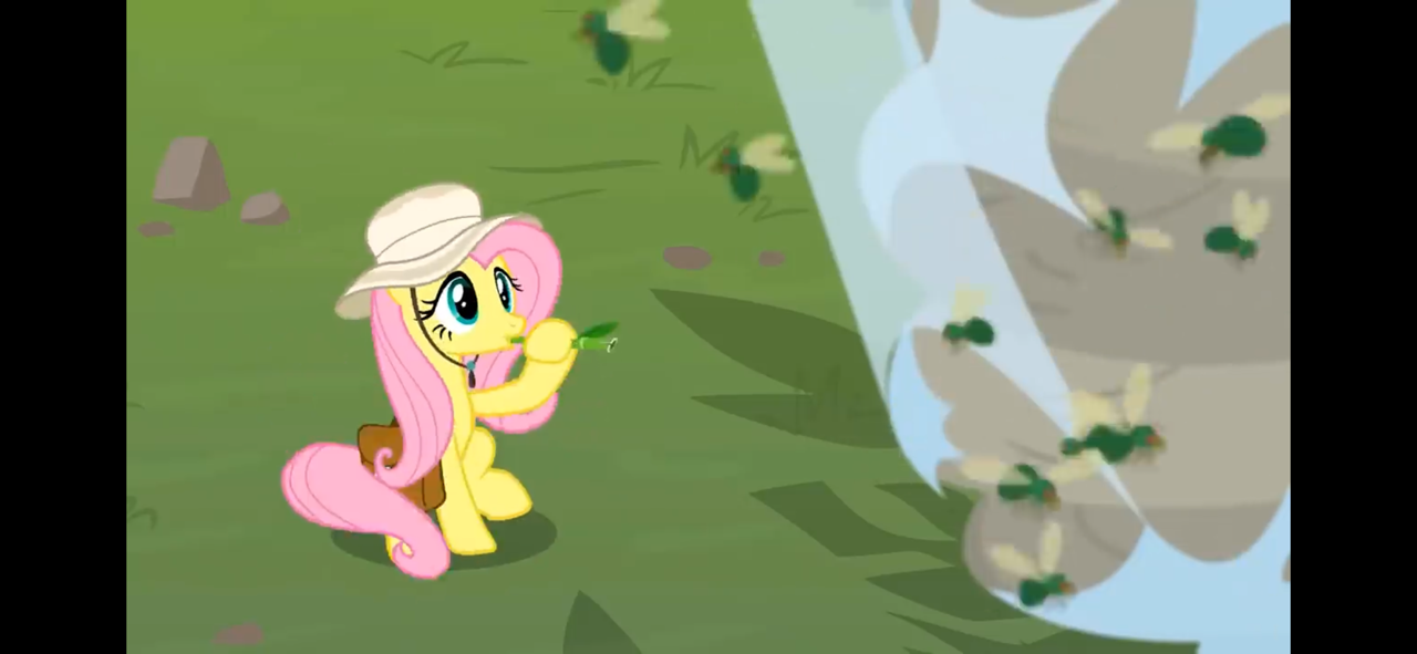 #3402507 - safe, screencap, fluttershy, fly, fly-der, hybrid, insect ...