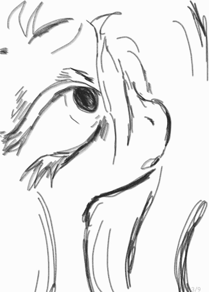 #3410047 - safe, artist:heartlurch, fluttershy, pegasus, pony, g4 ...