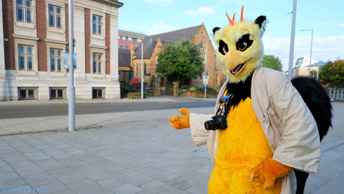 #3537235 - safe, oc, oc only, oc:electuroo, griffon, bust, fursuit, irl ...