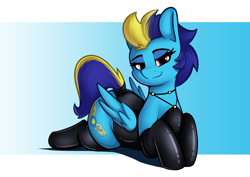 leotard - Tags - Derpibooru