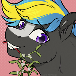 oc:tornado turbulence - Tags - Derpibooru