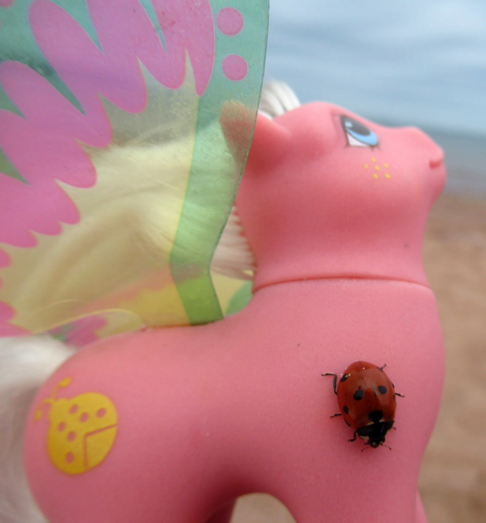 #3567369 - safe, artist:travelling-my-little-pony, lady flutter, insect ...