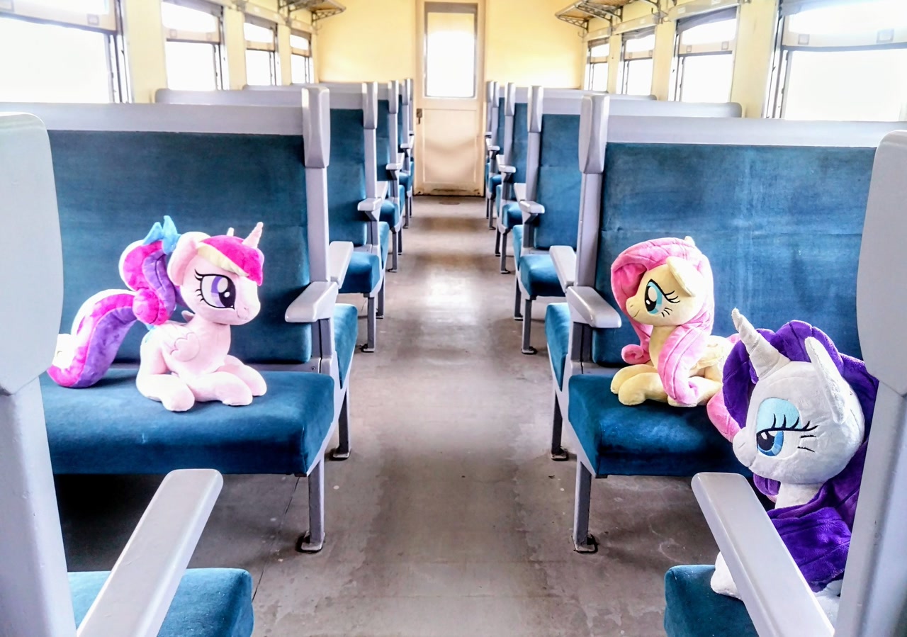 #3604769 - safe, photographer:pakapaka1993, fluttershy, princess cadance, rarity, alicorn ...