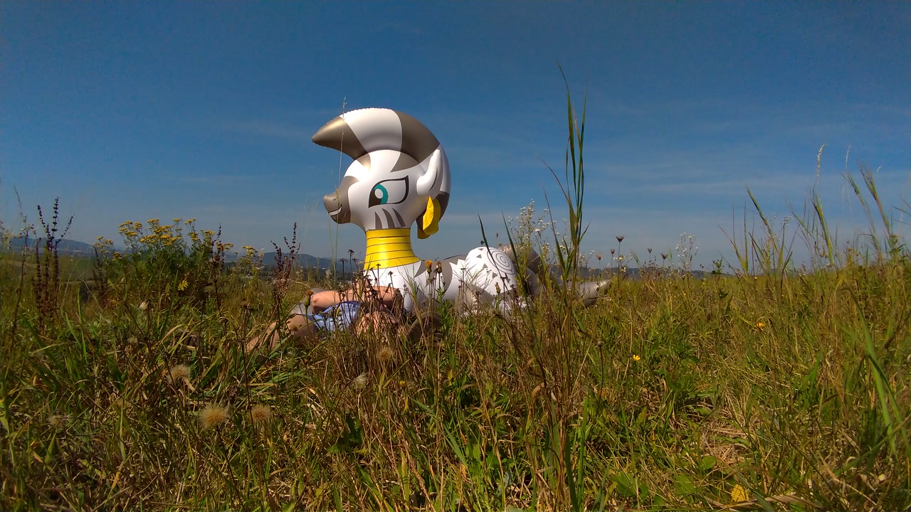 #3616216 - safe, artist:arniemkii, hongyi, zecora, human, g4, autumn ...