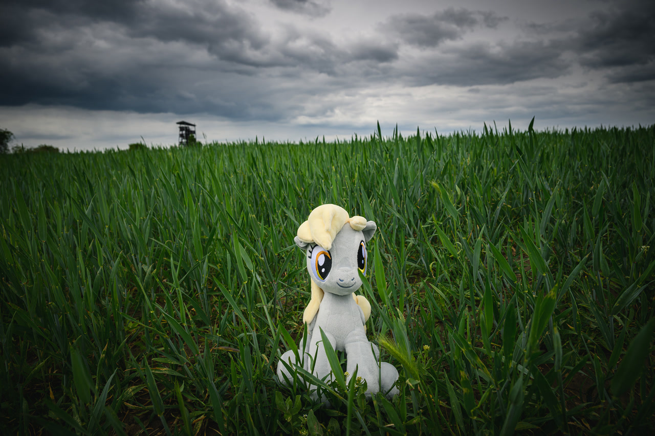 #3822171 - safe, photographer:anonymous, derpy hooves, pegasus, pony ...