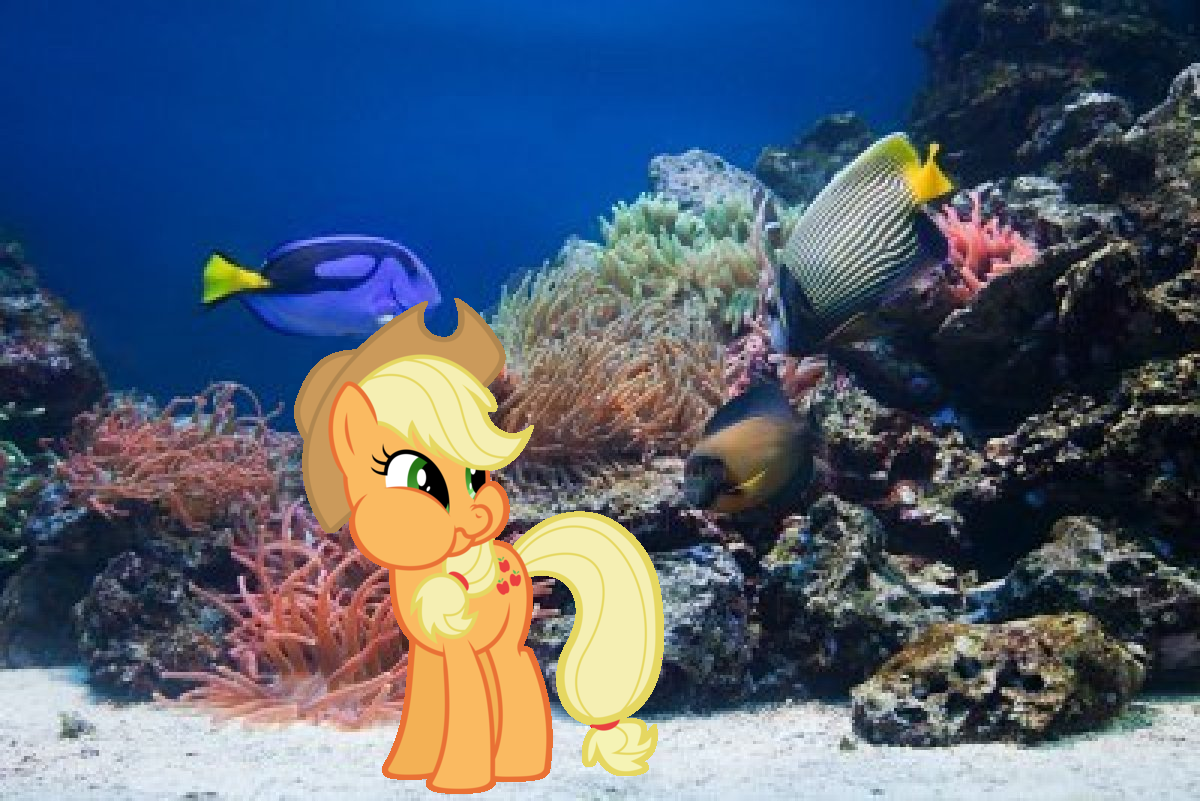 #135883 - safe, applejack, fish, pony, g4, irl, photo, ponies in real ...