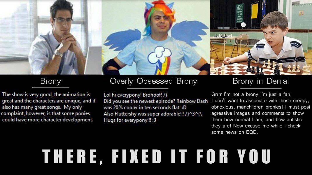 #179458 - safe, rainbow dash, human, g4, angry chess kid, brony ...