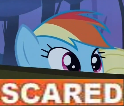 #183608 - safe, rainbow dash, g4, image macro, meme, scared - Derpibooru