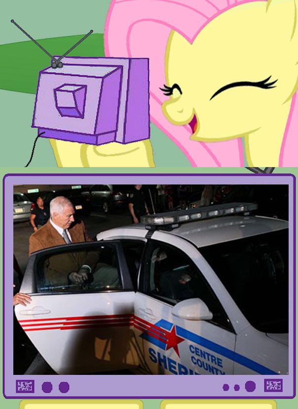 #16508 - safe, fluttershy, human, pegasus, pony, exploitable meme ...