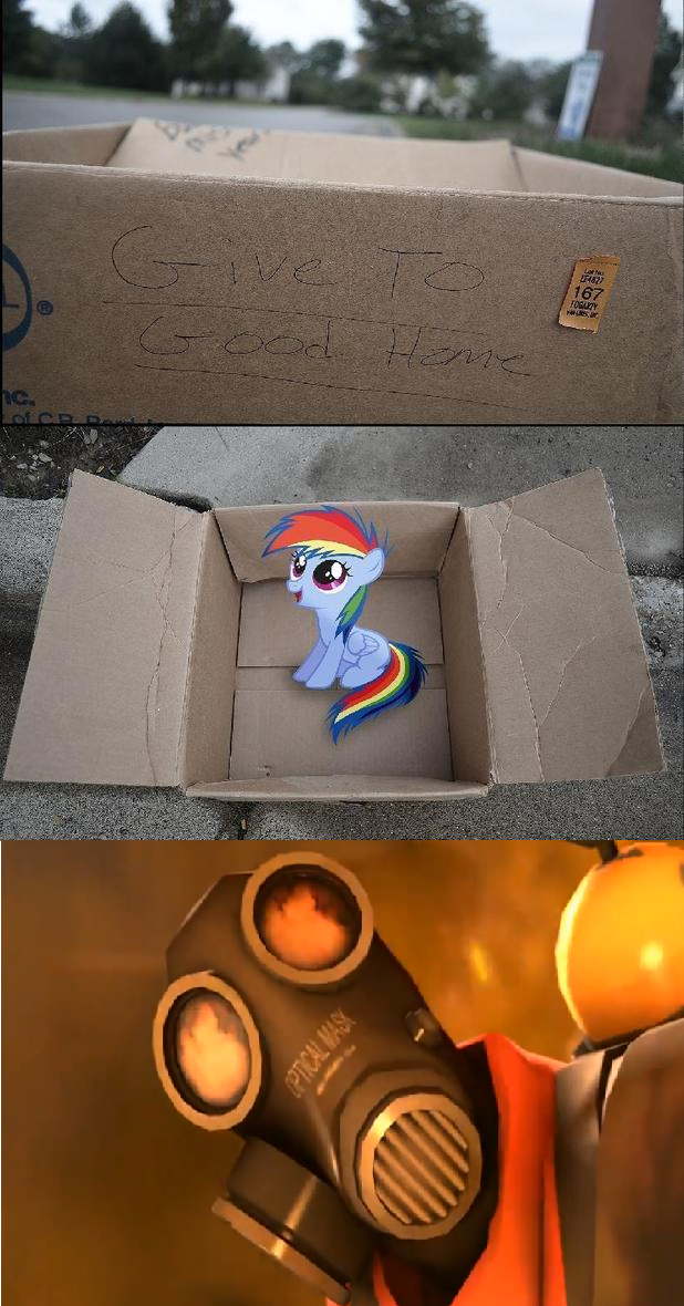 #63462 - safe, rainbow dash, pegasus, pony, g4, dashie meme, evil ...