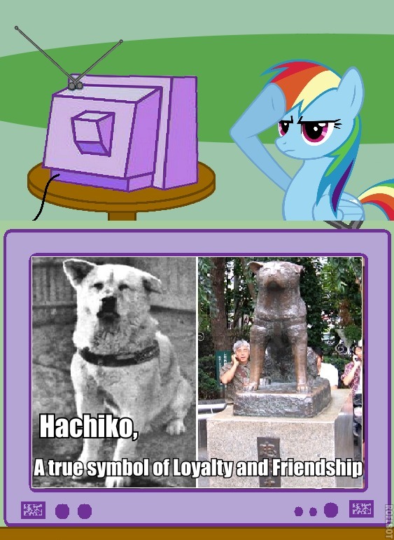 #34552 - safe, rainbow dash, dog, human, exploitable meme, hachiko ...