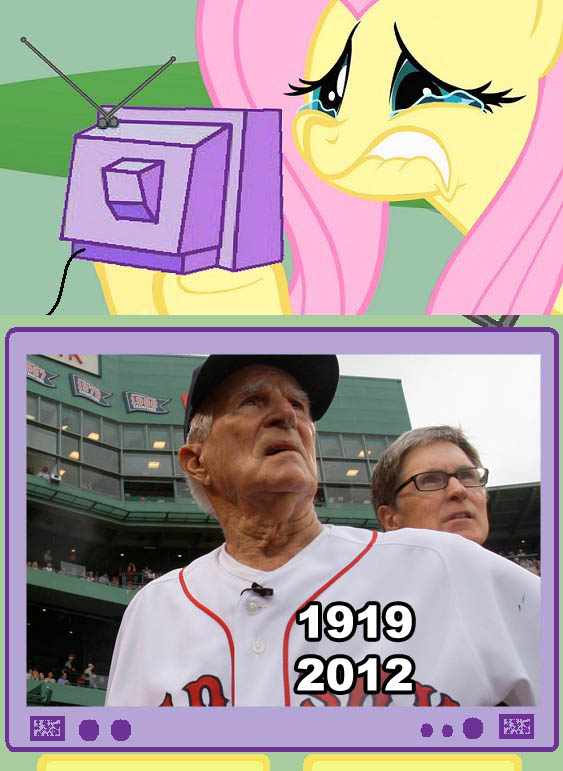 #74266 - safe, fluttershy, pony, exploitable meme, fluttercry, johnny ...