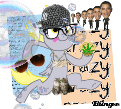 #85177 - safe, derpy hooves, cat, human, animated, barack obama, bling ...