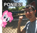 #460016 - safe, pinkie pie, brony, fence, irl, photo, photoshop, ponies ...