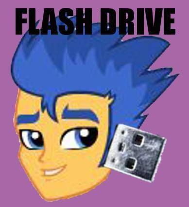 #470682 - safe, flash sentry, exploitable meme, flash sentry savior of ...