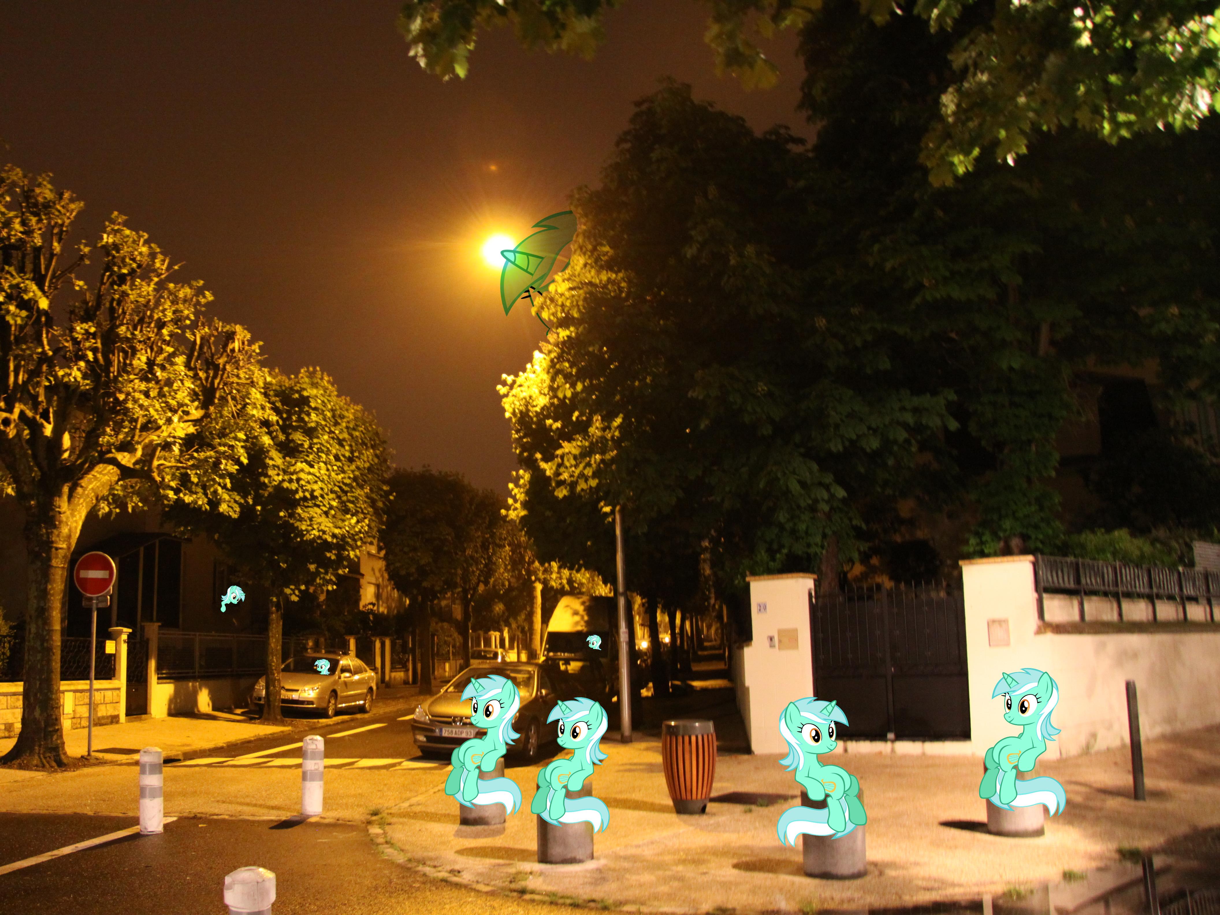 #487121 - safe, lyra heartstrings, irl, magic, night, photo, ponies in ...