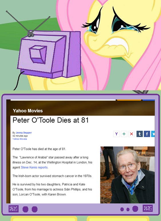 #497933 - safe, fluttershy, g4, exploitable meme, fluttercry, meme, obligatory pony, peter o ...