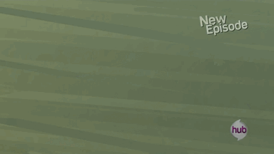 #492195 - safe, screencap, daring do, daring don't, animated, female ...