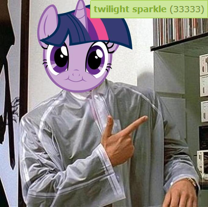 #249635 - safe, twilight sparkle, g4, derpimilestone, dubs, exploitable ...