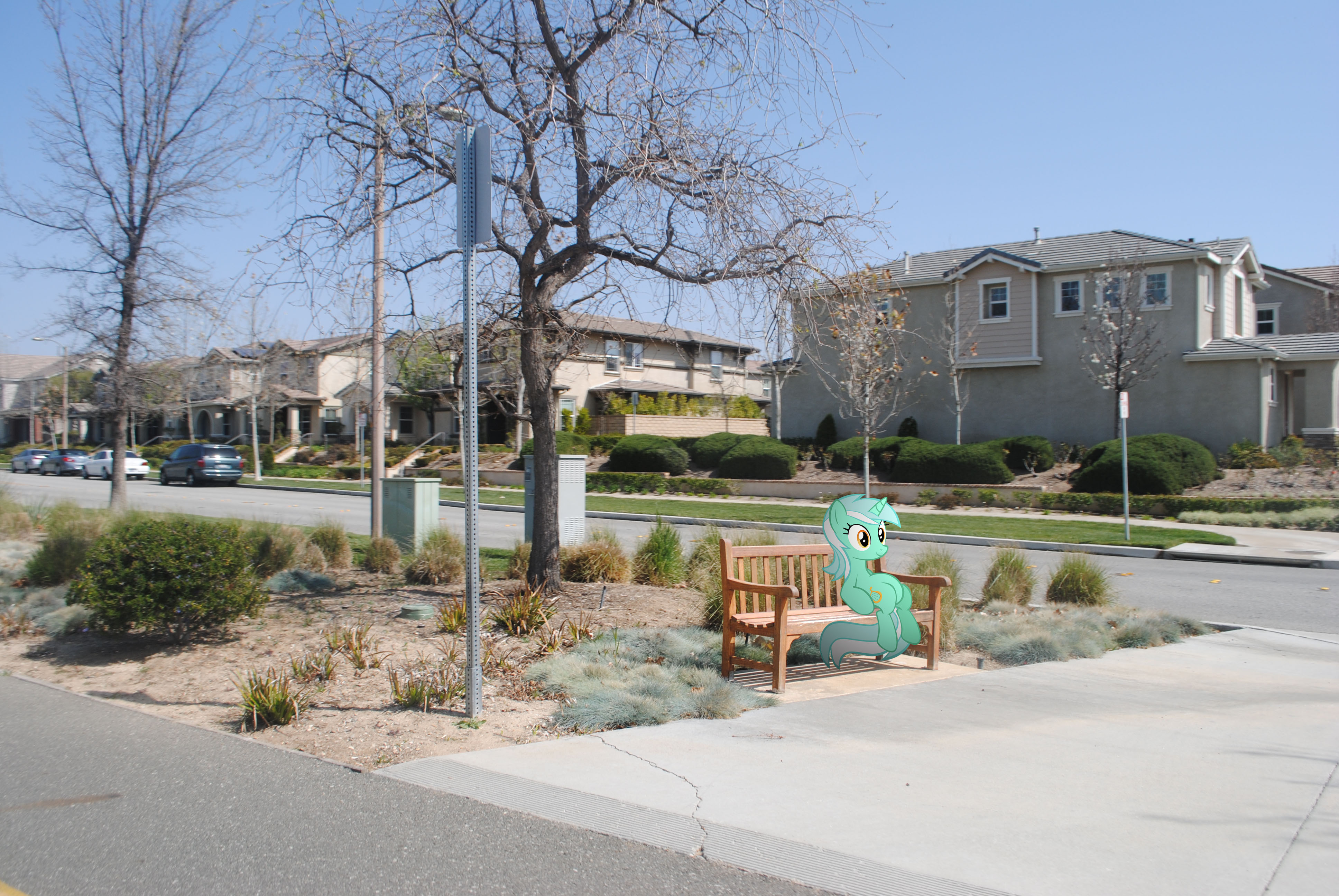 #234549 - safe, lyra heartstrings, bench, meme, ponies in real life ...