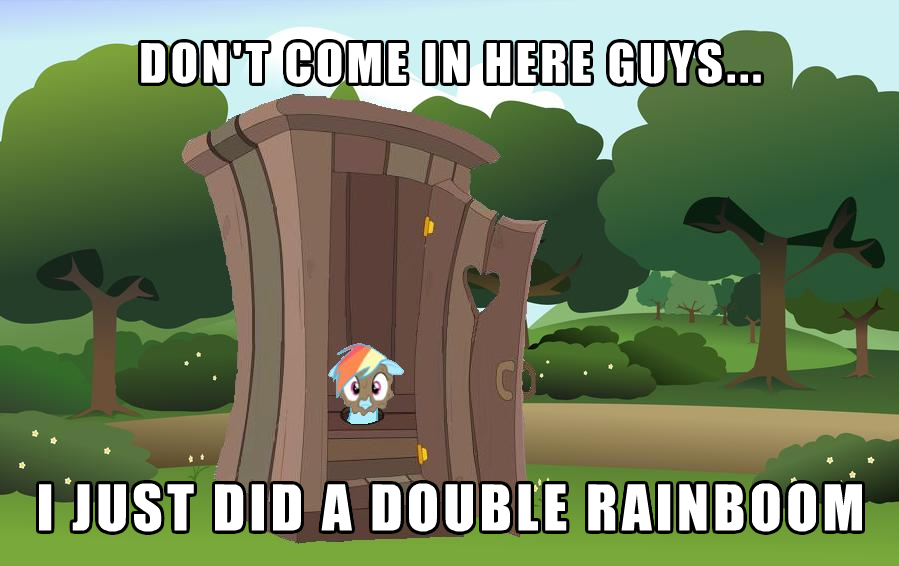 #284434 - safe, rainbow dash, pony, double rainboom, caption, double ...