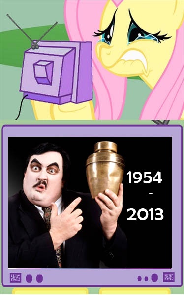 #264643 - safe, fluttershy, g4, exploitable meme, fluttercry, paul ...