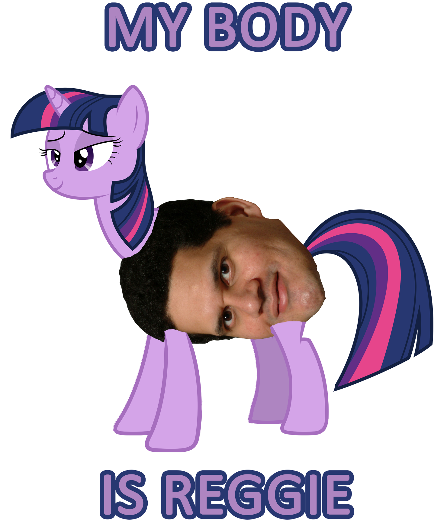 #355624 - safe, twilight sparkle, image macro, meme, my body is ready ...