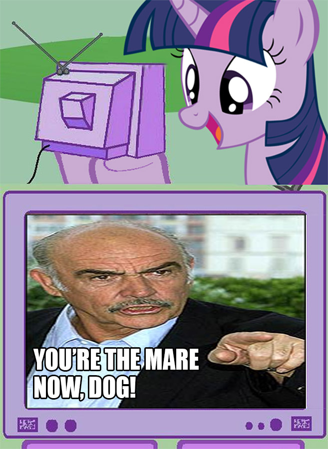 #363150 - safe, twilight sparkle, g4, exploitable meme, meme ...