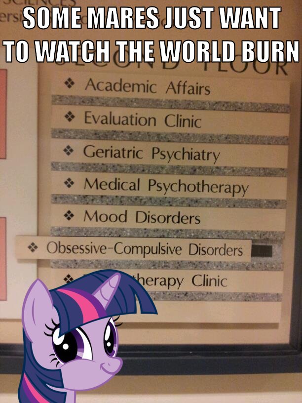 #387994 - safe, twilight sparkle, batman, image macro, irony, pure ...