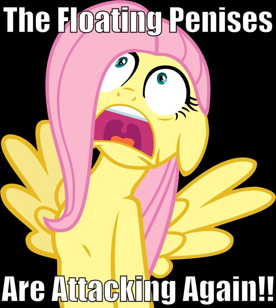 #406708 - suggestive, fluttershy, pegasus, pony, caption, female, image ...