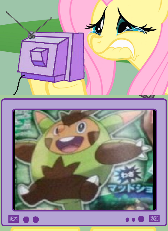 #426274 - safe, fluttershy, quilladin, exploitable meme, fluttercry ...