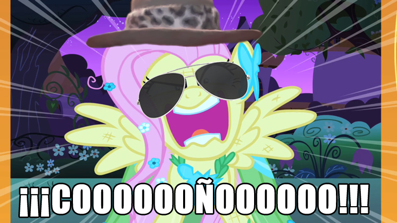 #525120 - safe, edit, edited screencap, screencap, fluttershy, the best ...