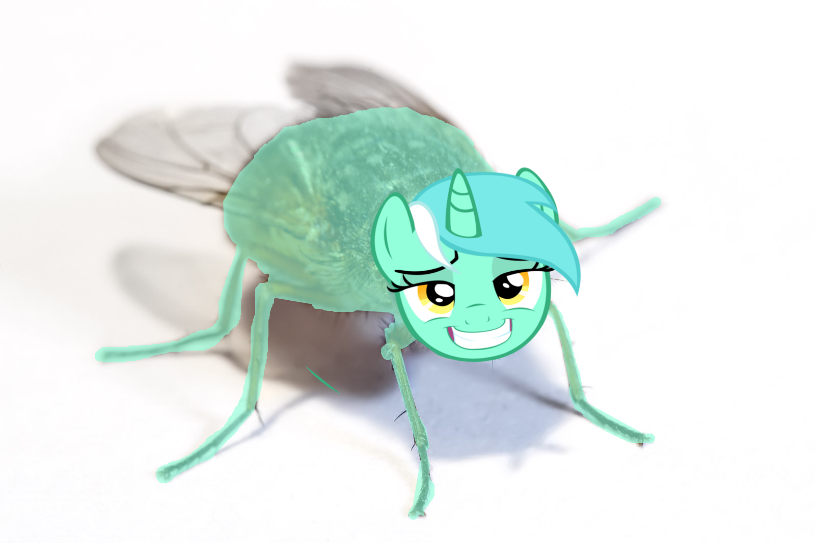 #545150 - safe, edit, lyra heartstrings, fly, insect, female, flyra ...