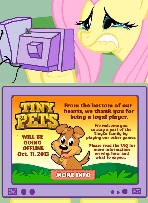 #565918 - safe, fluttershy, g4, exploitable meme, fluttercry, meme ...