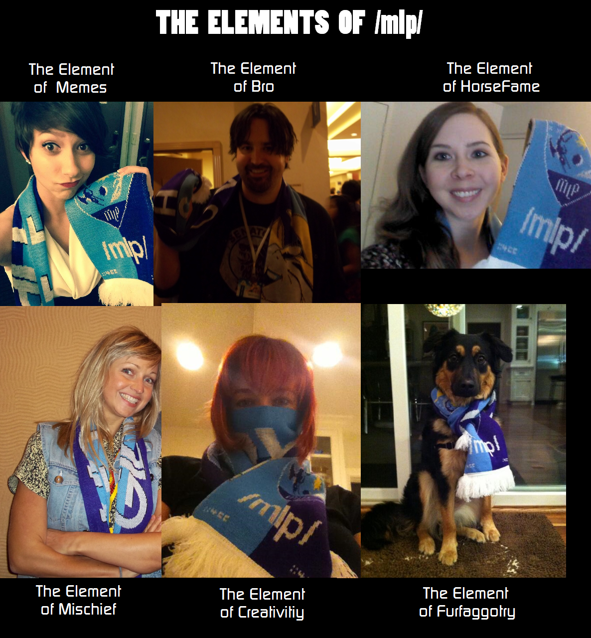 #643301 - safe, dog, human, /mlp/, 4chan cup, 4chan cup scarf, ashleigh ...